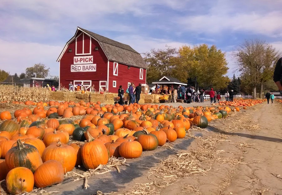 Local business owner teaching kids to chase their dreams during event ...