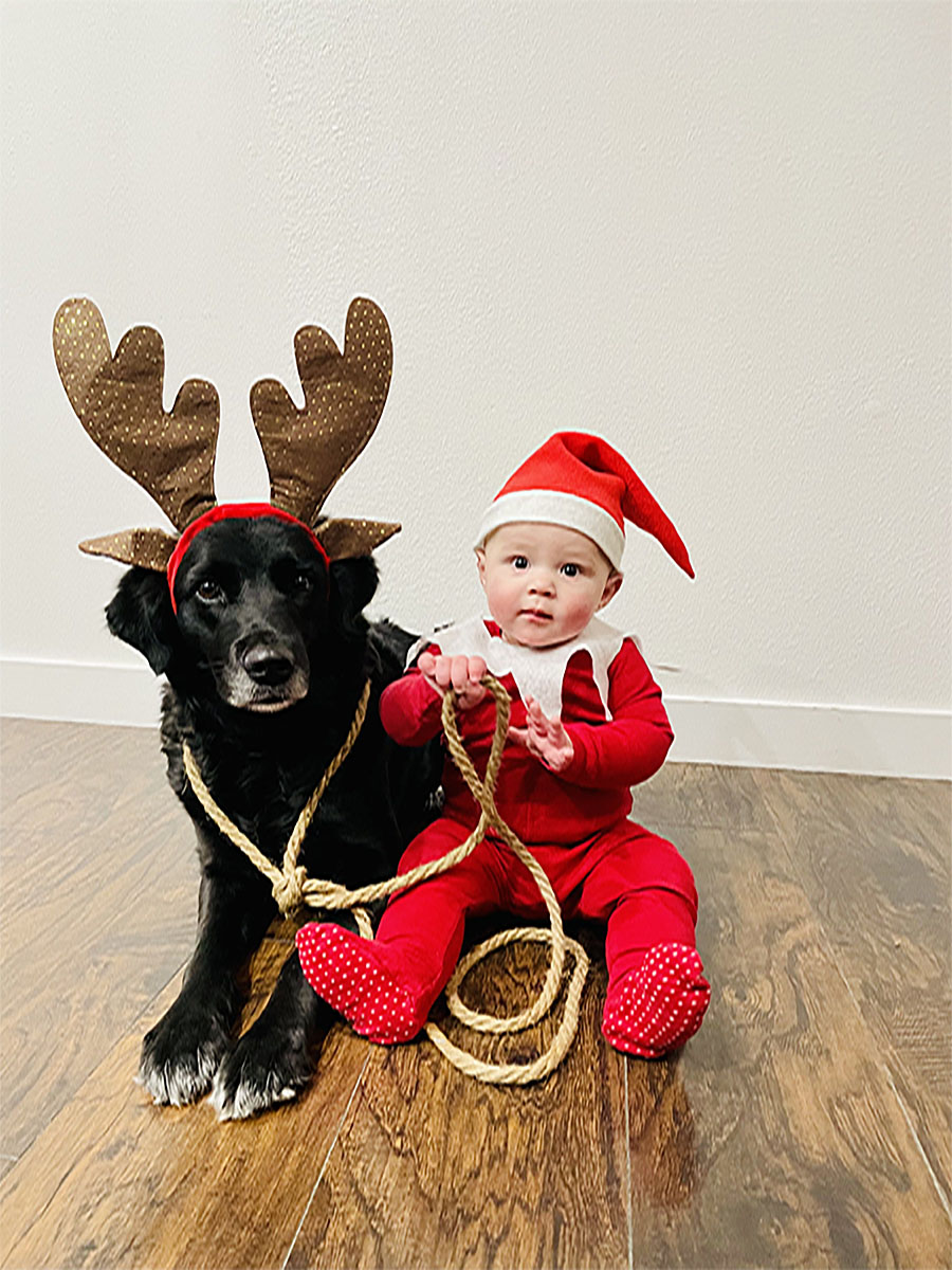 Local mom puts spin on ‘Elf on the Shelf’ with adorable baby pictures ...