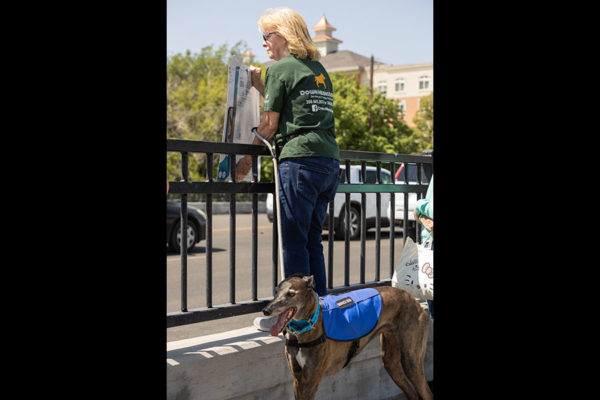 'Justice for Jesse': Protest by husband's widow to raise awareness ...