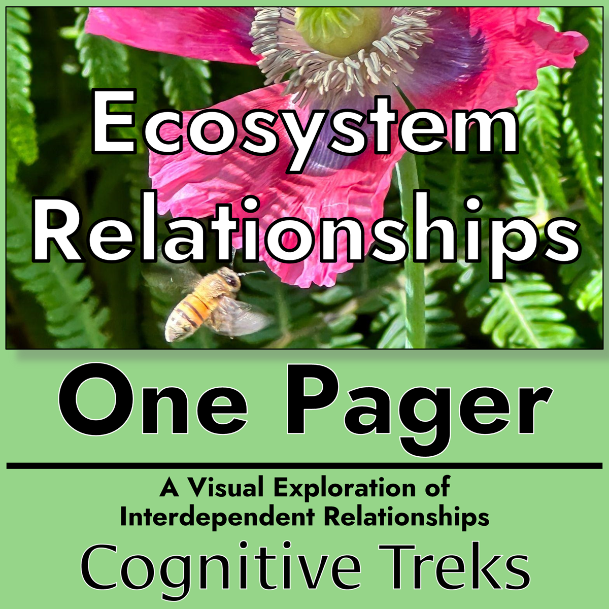 Ecosystem (Biotic) Relationships One Pager | Ecology and Life Science ...