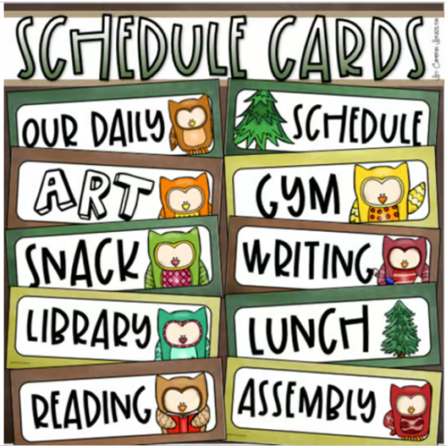 Daily Visual Schedule Cards for Classroom Agenda Owl Forest Theme ...