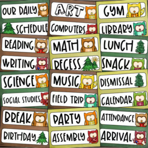 Daily Visual Schedule Cards for Classroom Agenda Owl Forest Theme ...