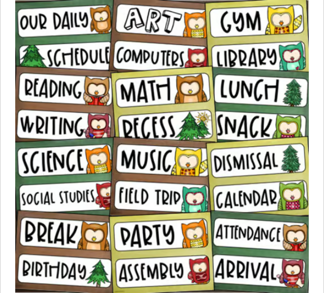 Daily Visual Schedule Cards for Classroom Agenda Owl Forest Theme ...