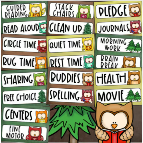 Daily Visual Schedule Cards for Classroom Agenda Owl Forest Theme ...