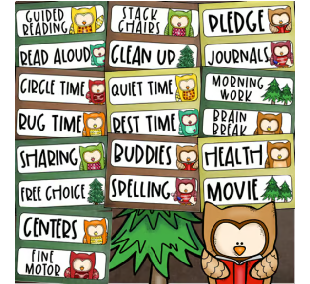 Daily Visual Schedule Cards for Classroom Agenda Owl Forest Theme ...