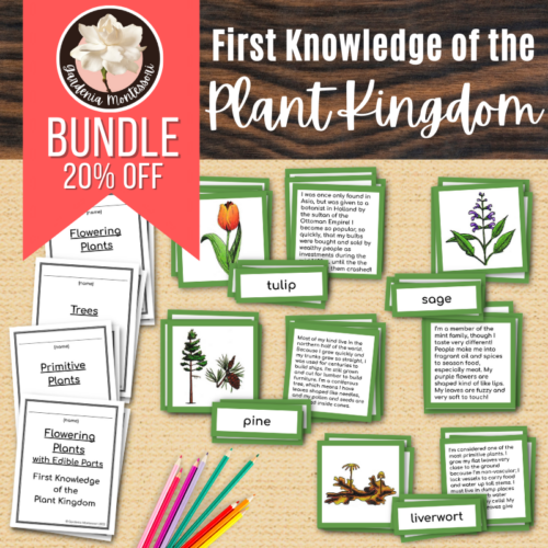 Plant Kingdom Cards Booklets BUNDLE - Montessori Botany Plant ...