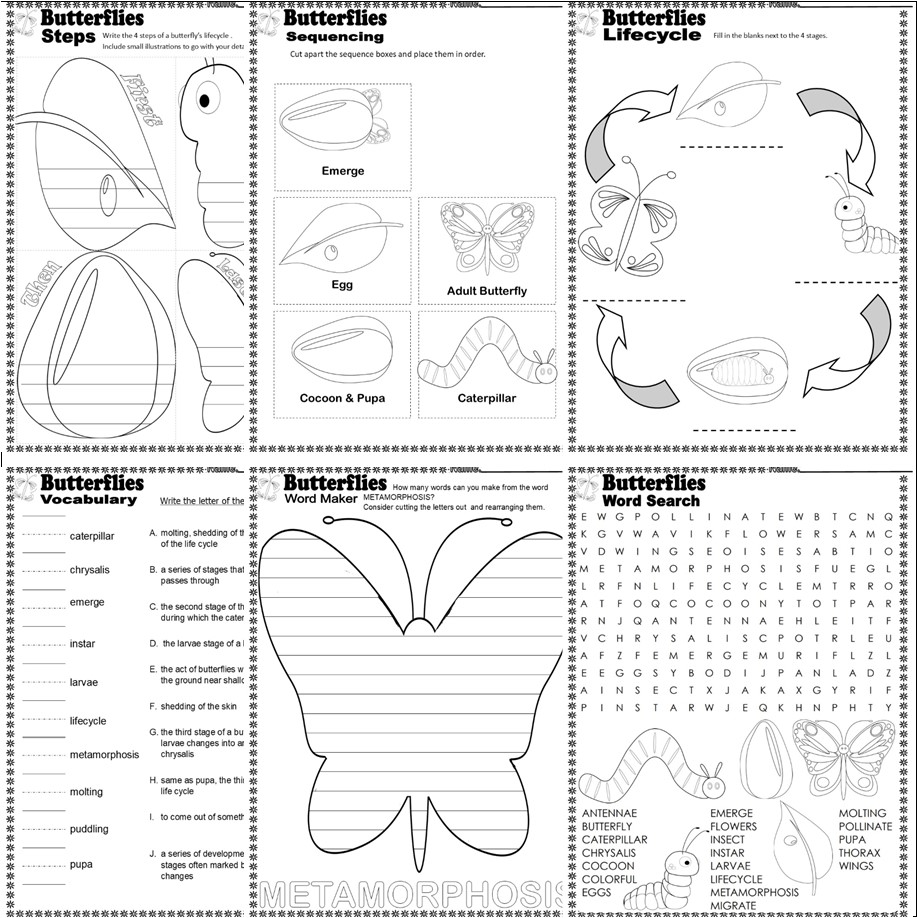 Butterfly Life Cycle Science ELA Unit Worksheets Writing Vocabulary ...