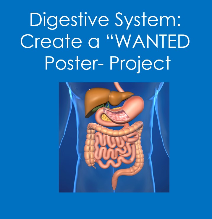 Digestive System WANTED POSTER Project (Anatomy, Biology) - Classful