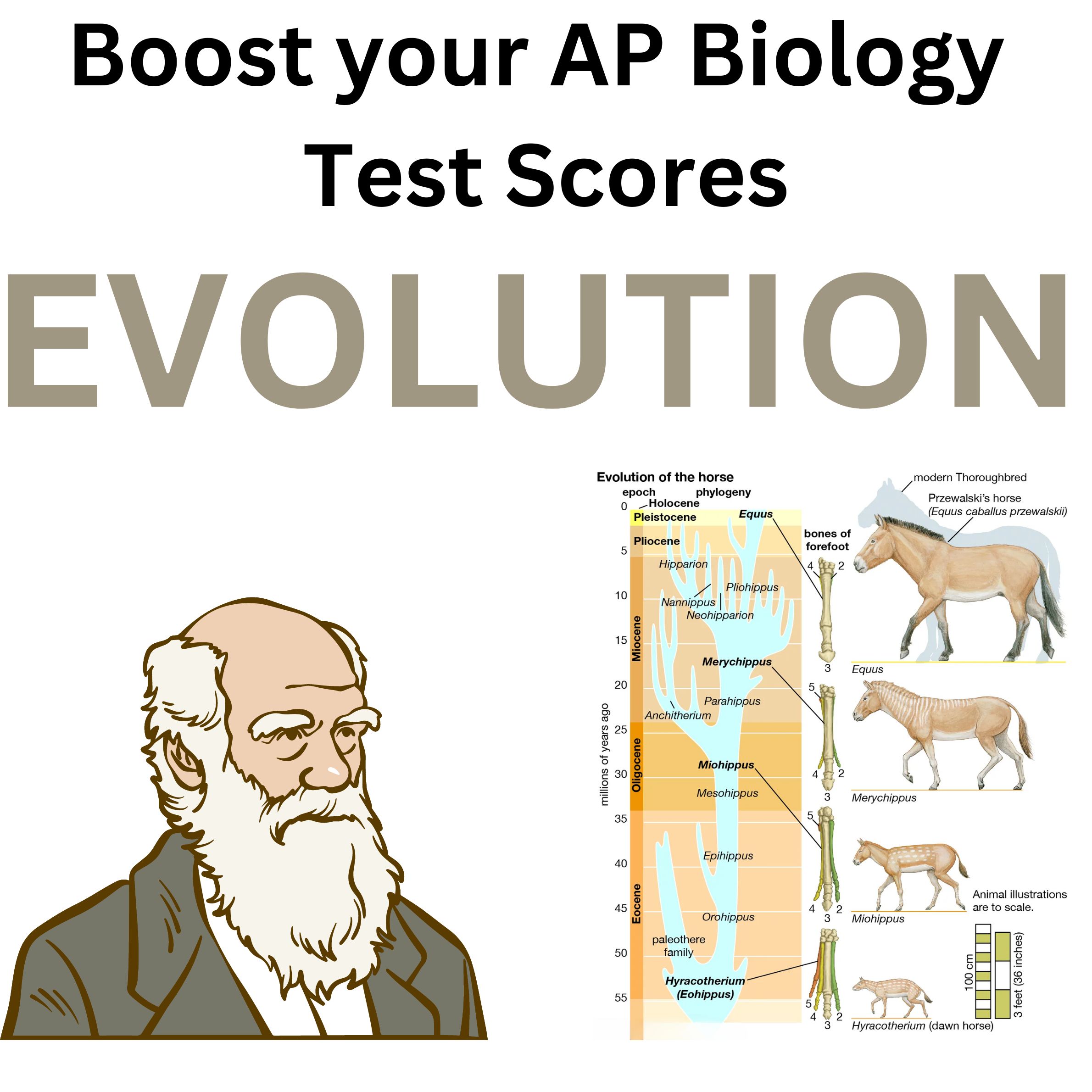 AP Biology Evolution and Common Ancestry Labs and Multiple Choice ...