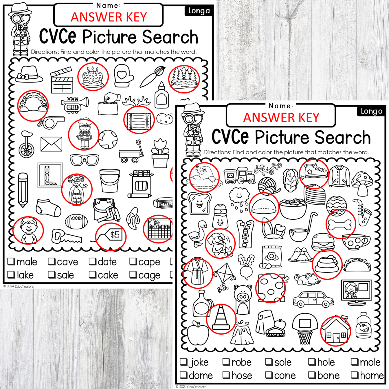 CVCe Long Vowels Phonics Picture Search I Spy Read and Find Worksheet ...