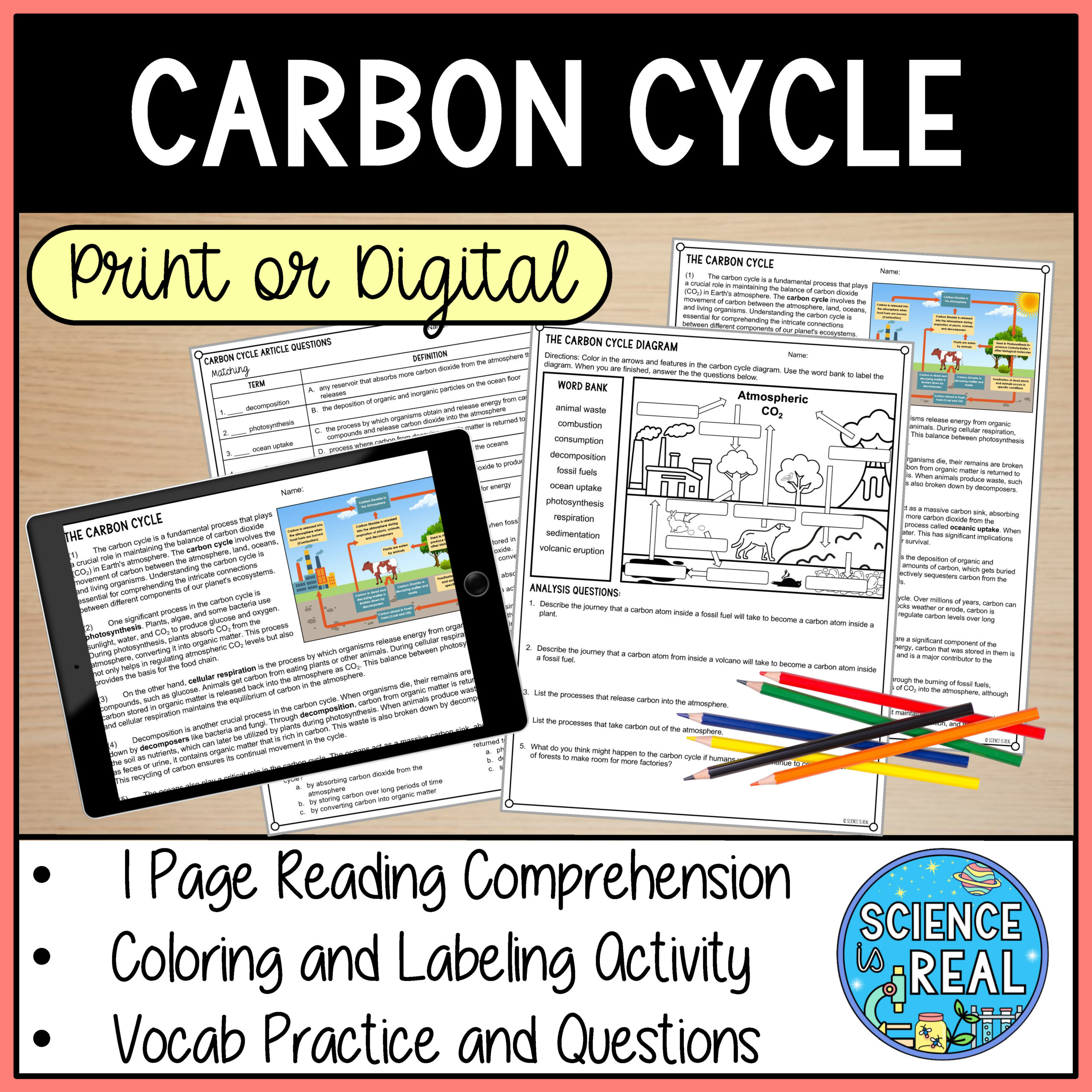 Biogeochemical Cycles Bundle - Carbon Cycle, Nitrogen Cycle, and Water ...