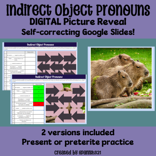 Spanish Indirect Object Pronouns Self-correcting DIGITAL Picture Reveal ...