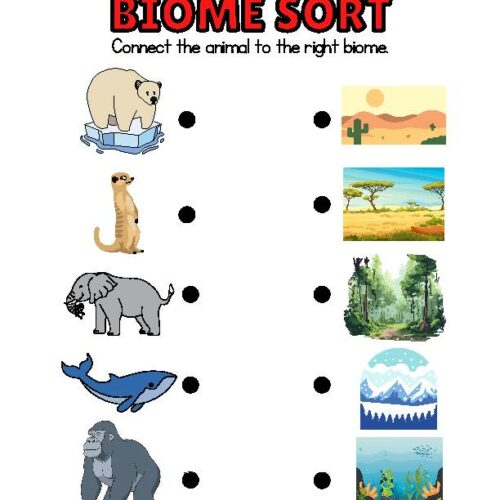 Biome Sorting Activity Page - Classful