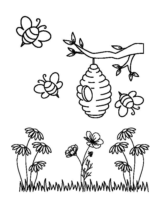Spring Time/Bee Hive Coloring Page - Classful