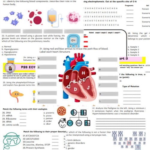 Principles of Biomedical Science PBS EOY Review Part 3 Worksheet - Classful