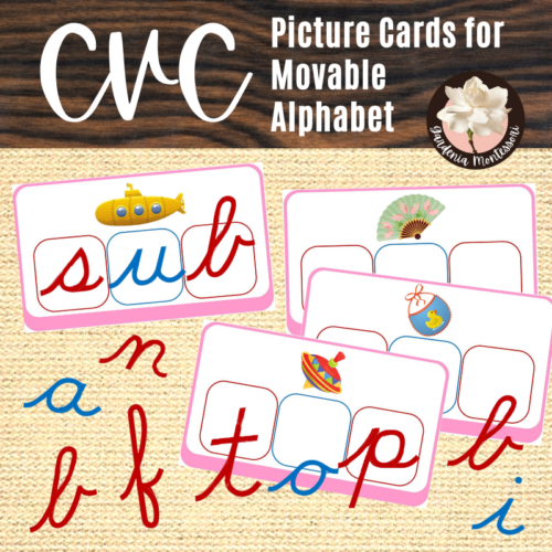 Montessori Cursive CVC Picture Cards Movable Alphabet - Montessori Pink ...