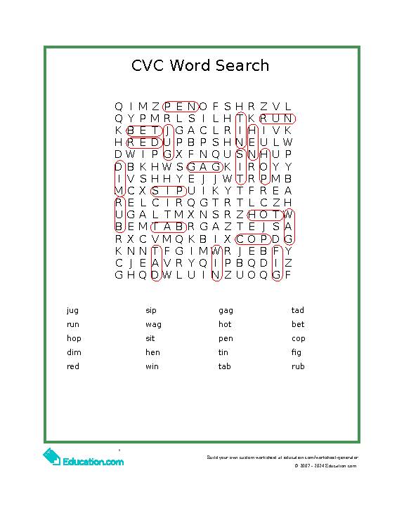 Computer Terminology Word Search Mixed CVC Words Word Search!