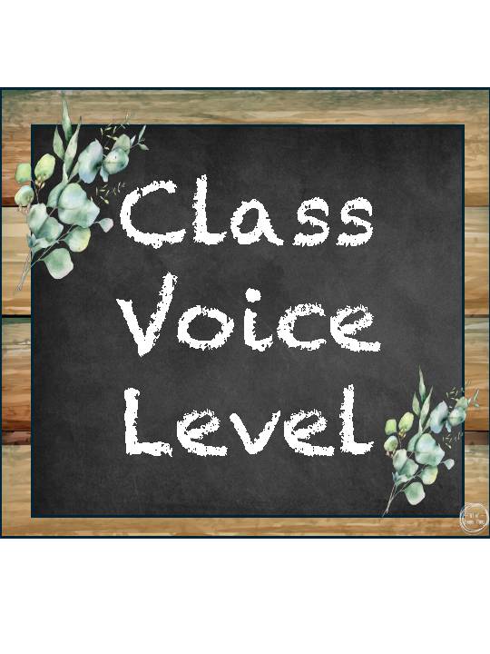 Modern Farmhouse Theme Voice Level Poster - Classful