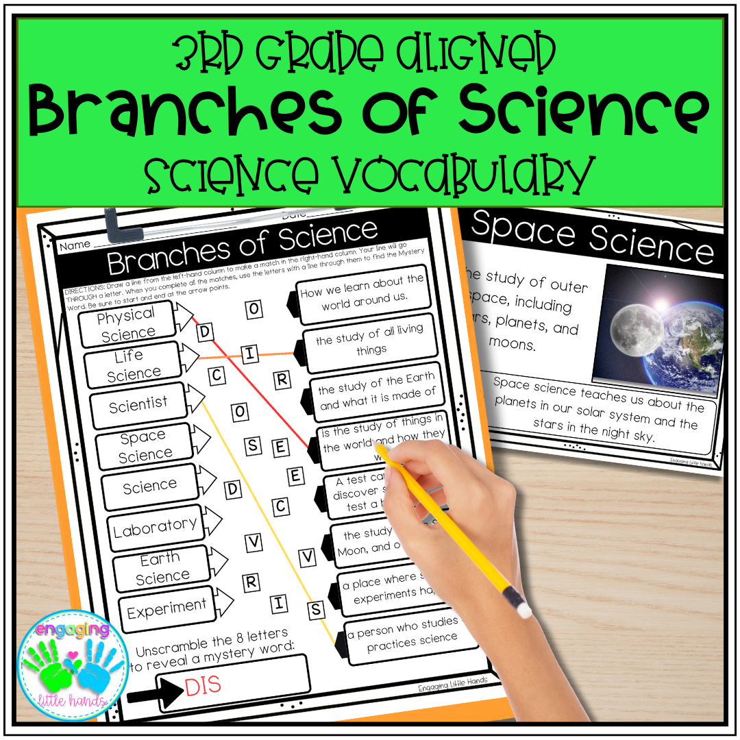 Branches of Science Vocabulary - Classful