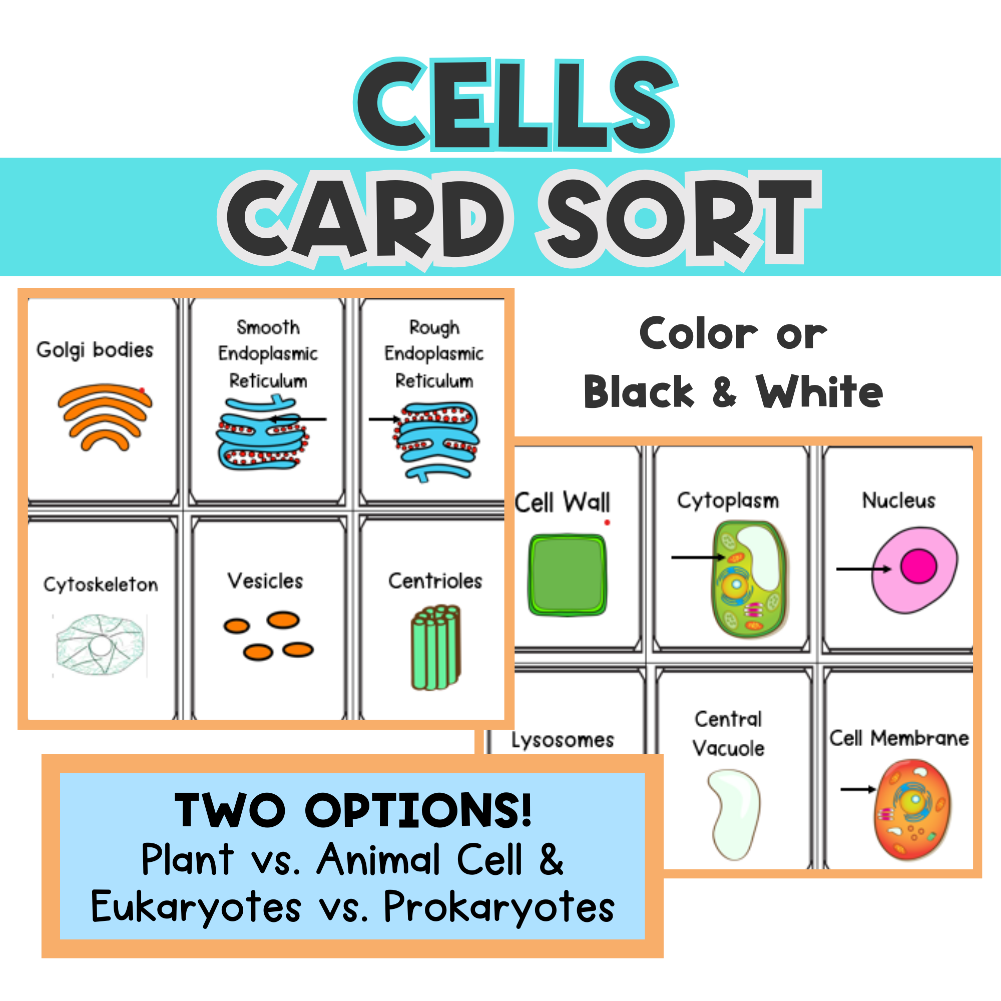 Cell Organelles Card Sort - Plant and Animal Cells, Eukaryotes and ...