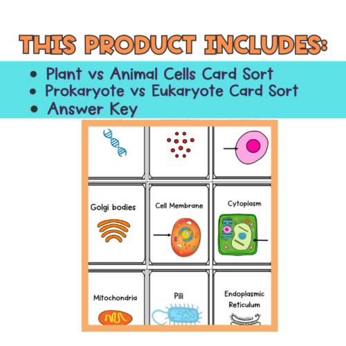 Cell Organelles Card Sort - Plant and Animal Cells, Eukaryotes and ...