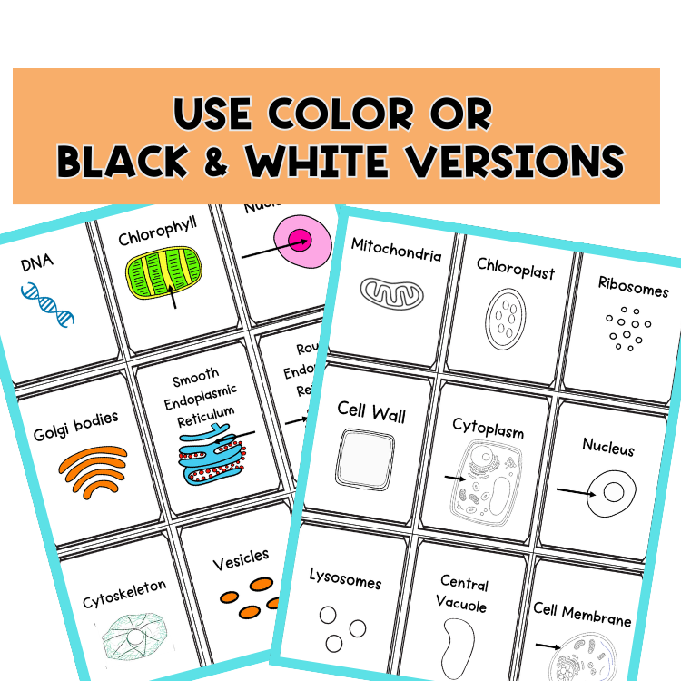 Cell Organelles Card Sort - Plant and Animal Cells, Eukaryotes and ...