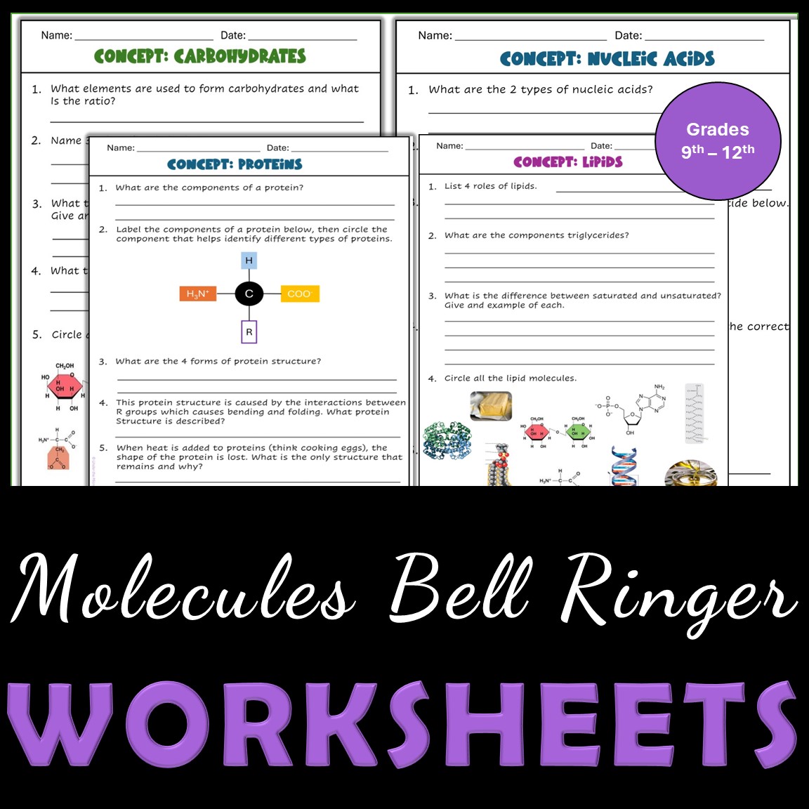 Biology Molecules Bell Ringers/Warm-Ups (PDF & Digital) - Classful