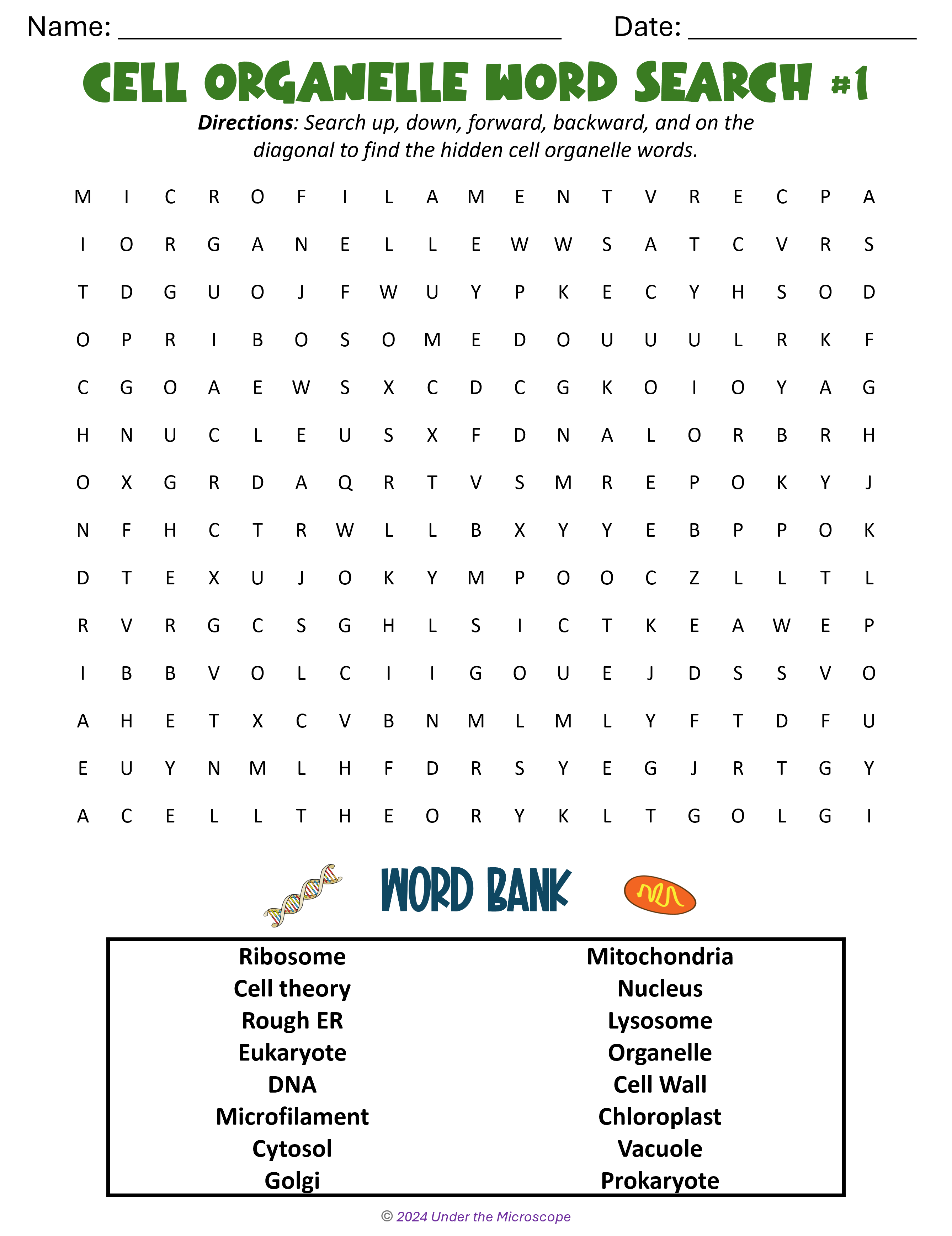 Cell Organelle Crossword and Word Search - Classful