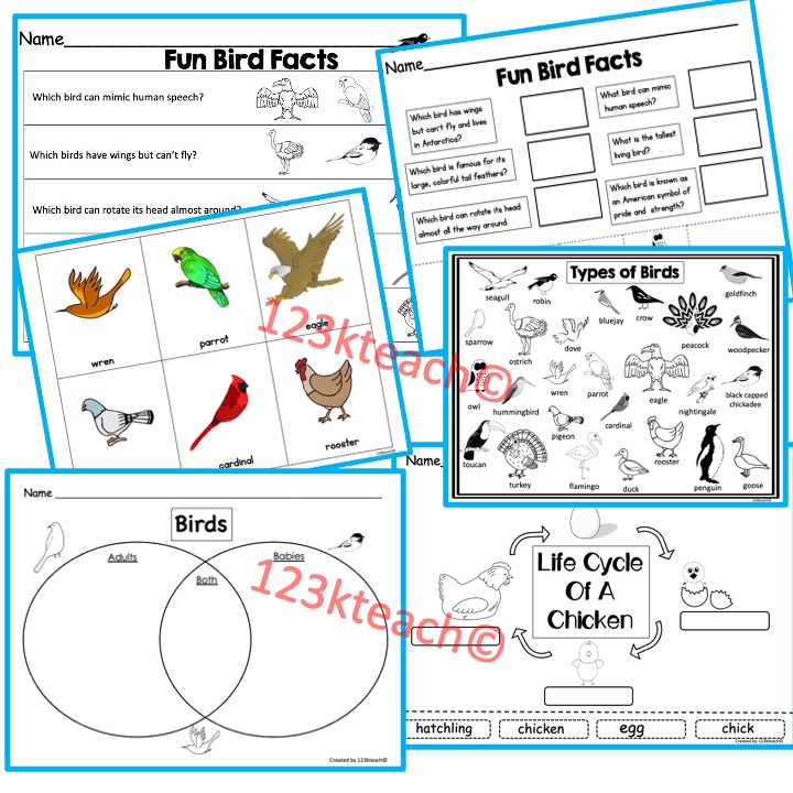 All About Birds, Writing, Graphic Organizers, Diagrams, Research K, 1st ...