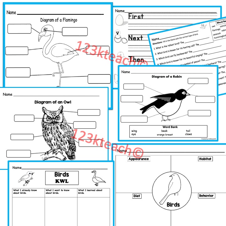 All About Birds, Writing, Graphic Organizers, Diagrams, Research K, 1st ...