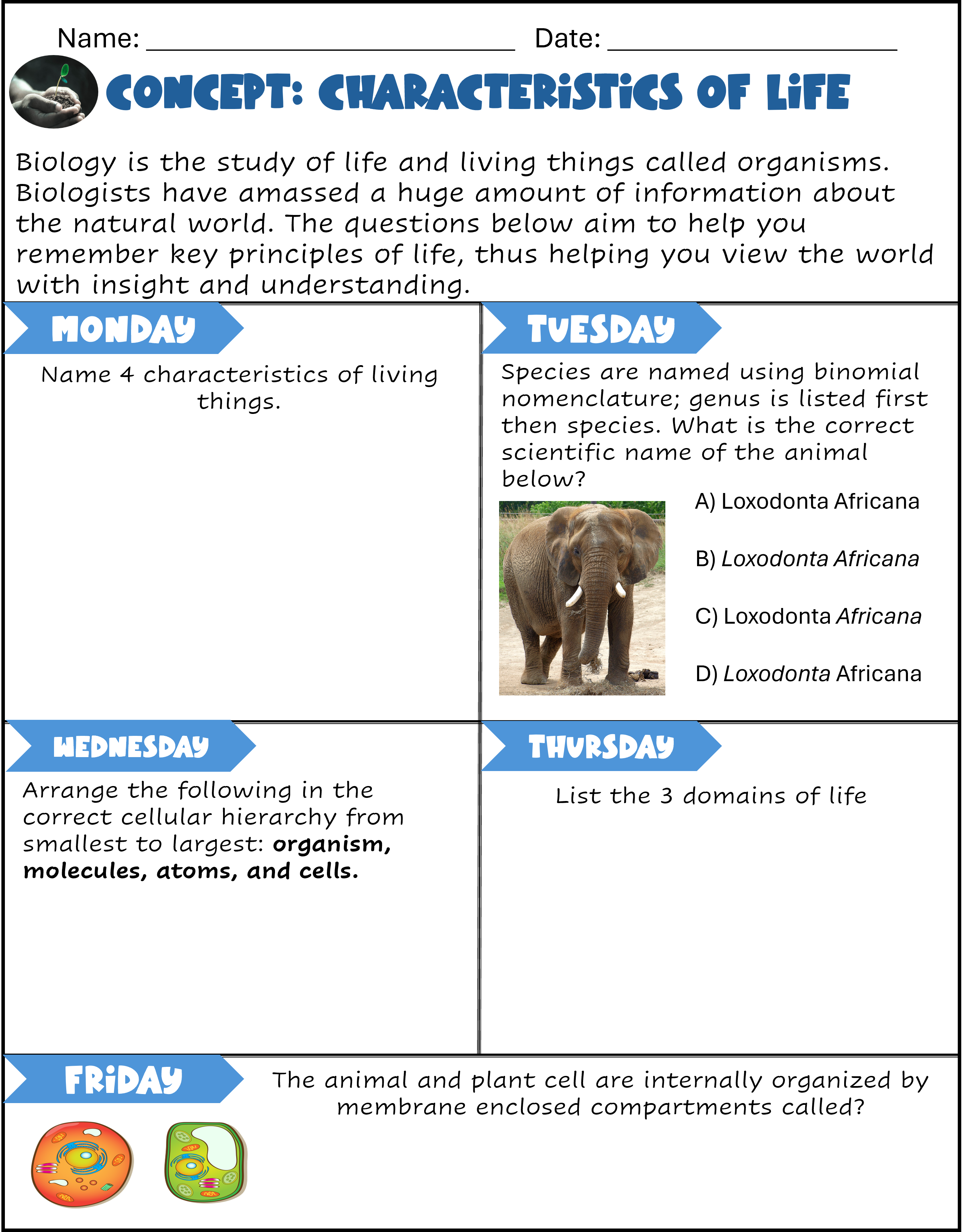 Introduction to Biology Bell Ringers/Warm-Ups (Downloadable PDF) - Classful