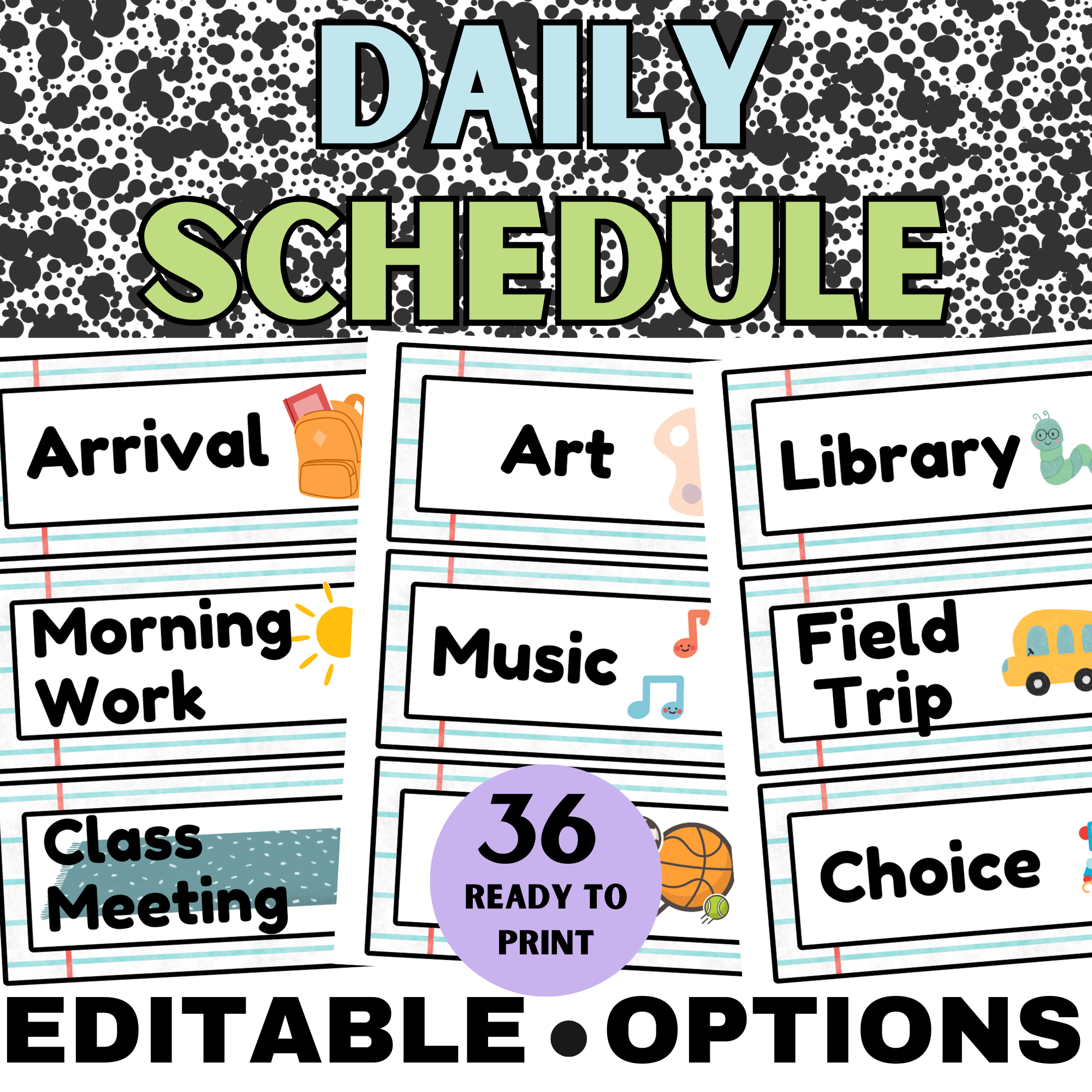 Classroom Daily Schedule | EDITABLE - Classful