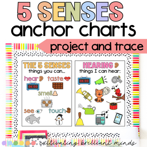 5 Senses Anchor Charts | Kindergarten Anchor Charts, First Grade ...