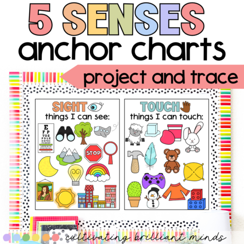 5 Senses Anchor Charts | Kindergarten Anchor Charts, First Grade ...