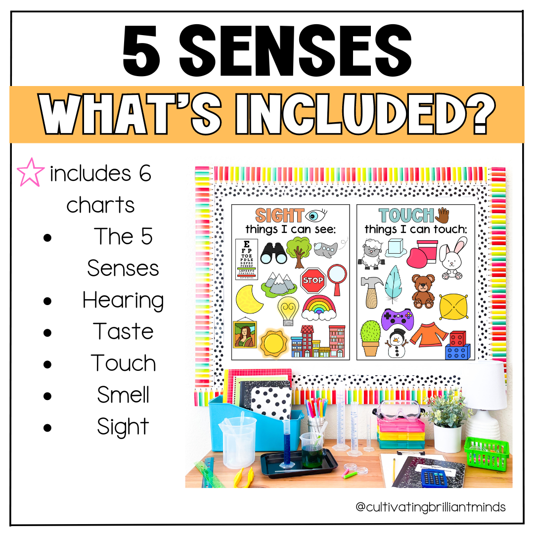 5 Senses Anchor Charts | Kindergarten Anchor Charts, First Grade ...
