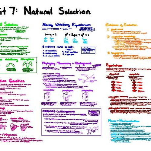 AP Biology Unit 7 Notes Summary - Classful
