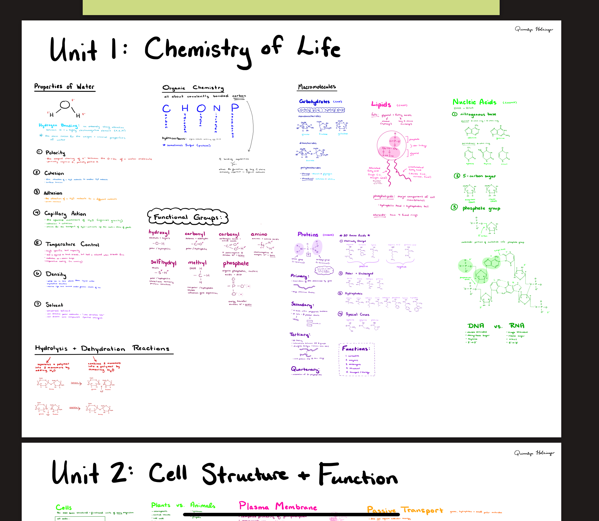 AP Biology Notes Summaries Bundle! 25% OFF! - Classful