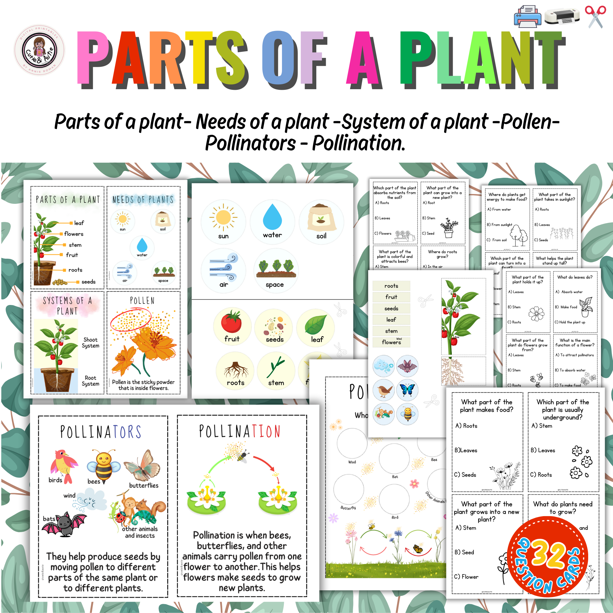 Plants Activities Parts of a Plant Life Cycle Plant Needs, Pollinators+ ...