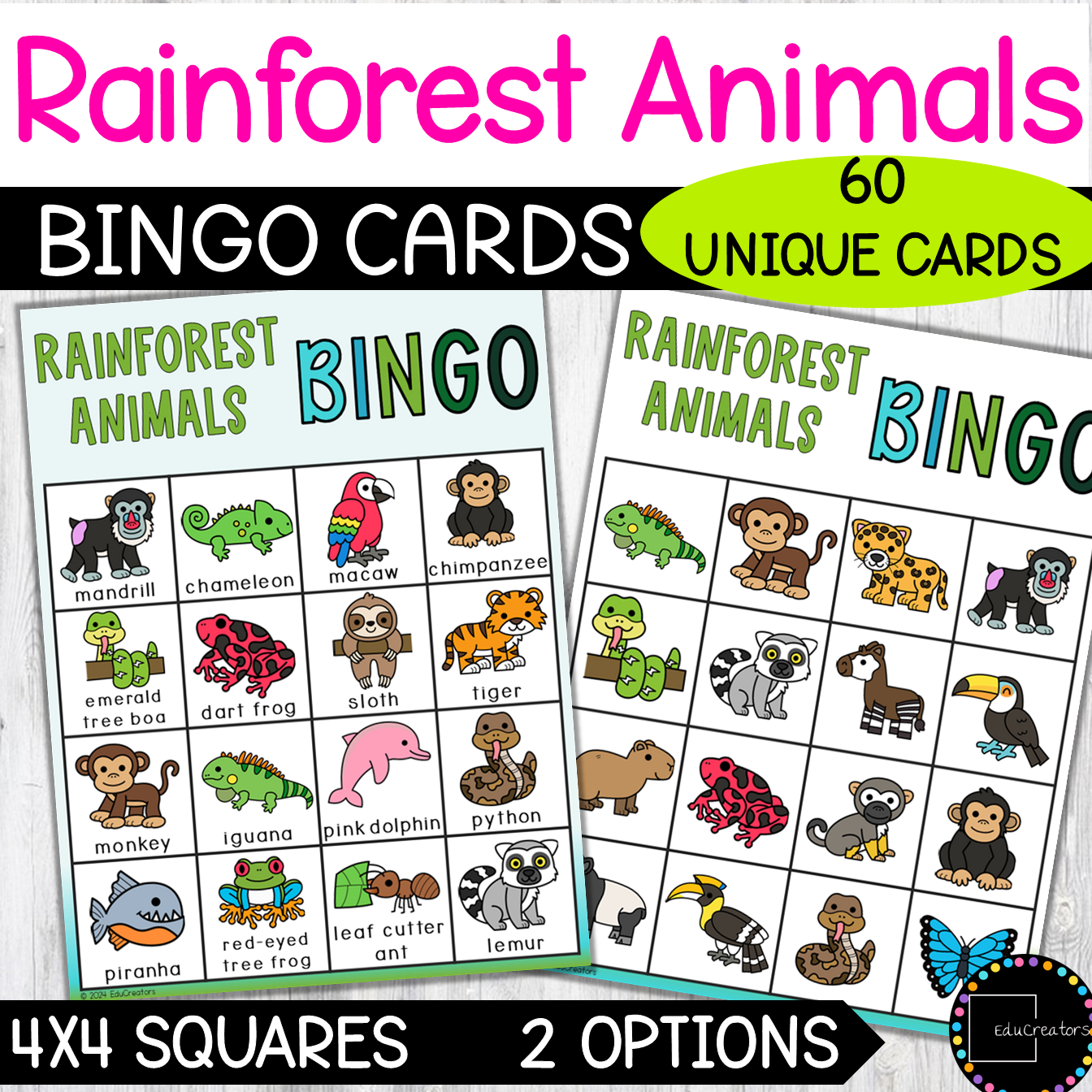Rainforest Animals Habitat Bingo Cards - Classful