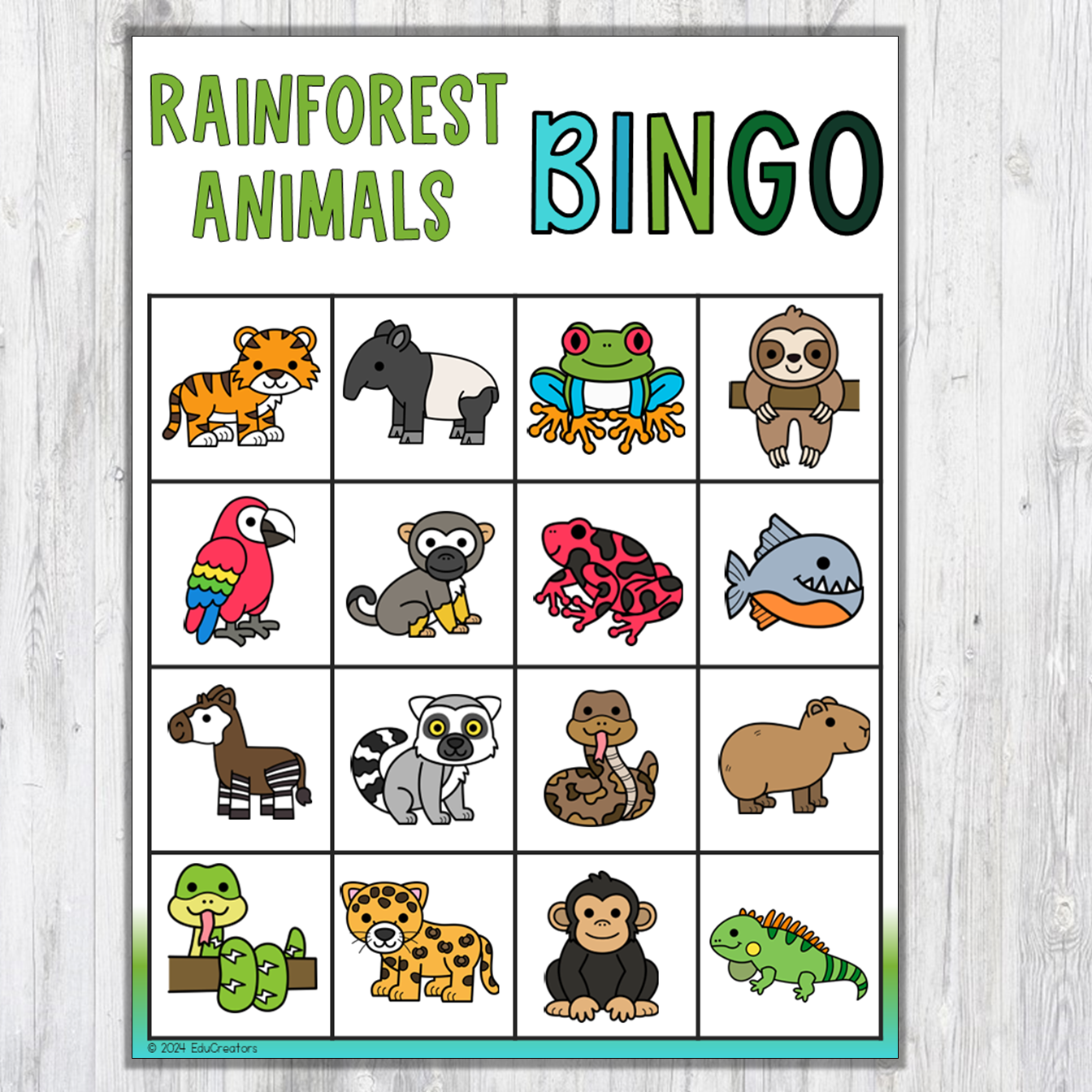 Rainforest Animals Habitat Bingo Cards - Classful