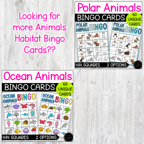 Rainforest Animals Habitat Bingo Cards - Classful