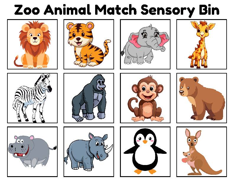 Zoo Animal Match Sensory Bin, Sensory Bin, Toddler Sensory Bin ...