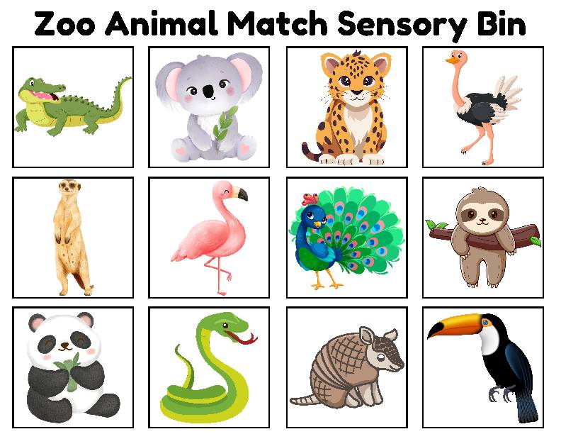 Zoo Animal Match Sensory Bin, Sensory Bin, Toddler Sensory Bin ...