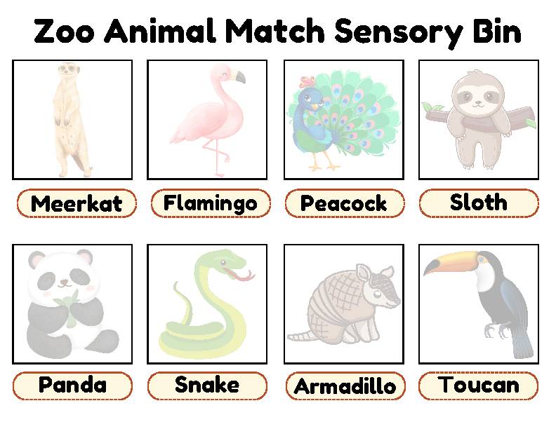 Zoo Animal Match Sensory Bin, Sensory Bin, Toddler Sensory Bin ...