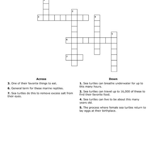 All About Sea Turtles Printable Learning Pack With Fun Traceable Facts ...