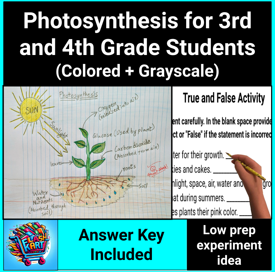Photosynthesis Lesson, Worksheets, and Experiment for 3rd and 4th Grade ...