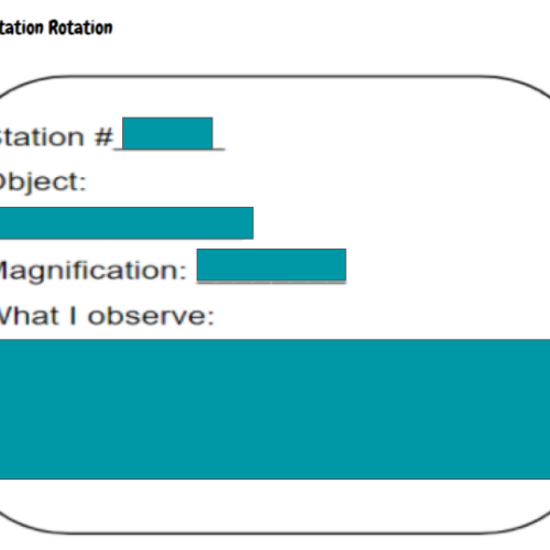 Virtual Microscope Lab Stations Google Slides Activity - Classful