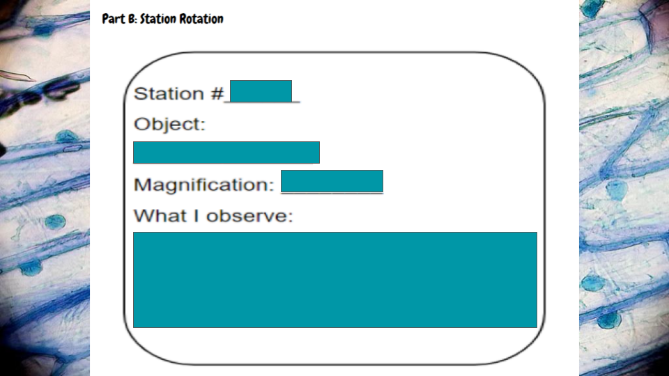 Virtual Microscope Lab Stations Google Slides Activity - Classful