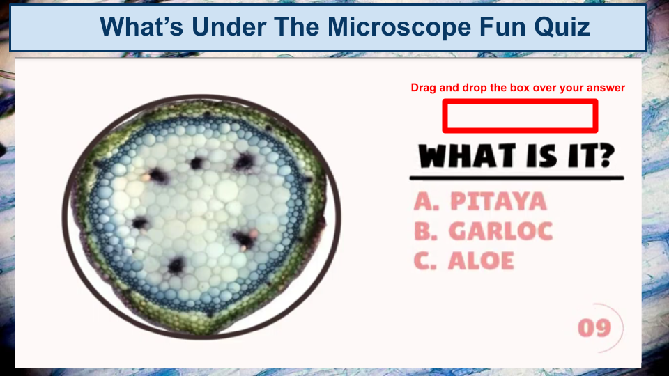 Virtual Microscope Lab Stations Google Slides Activity - Classful