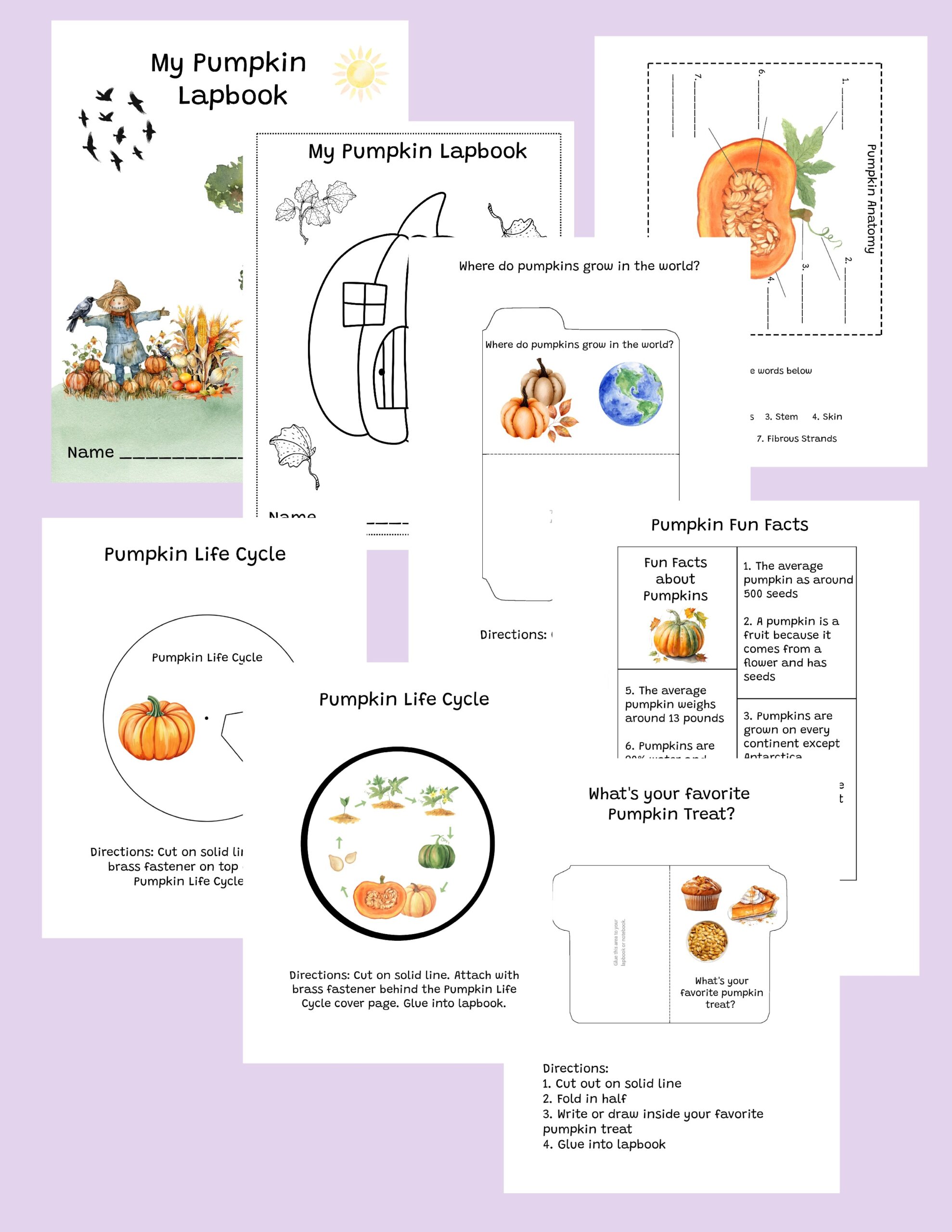 Pumpkin Unit Study - Classful